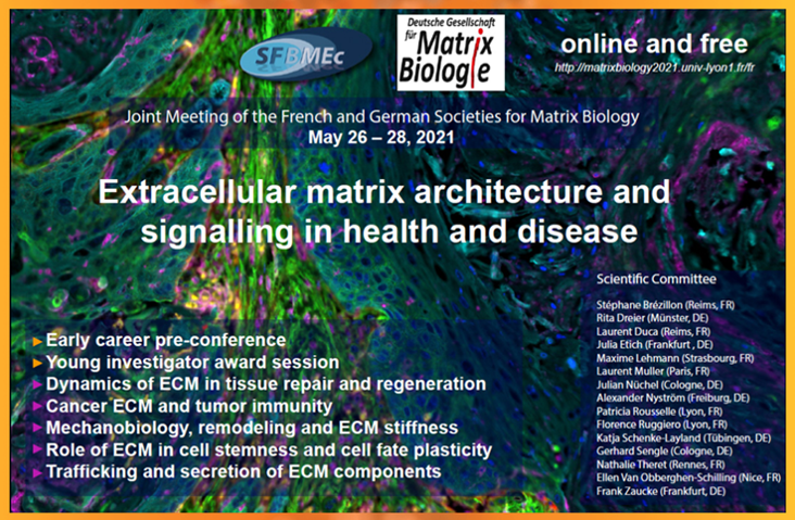 Nederlandse Vereniging voor Matrix Biologie